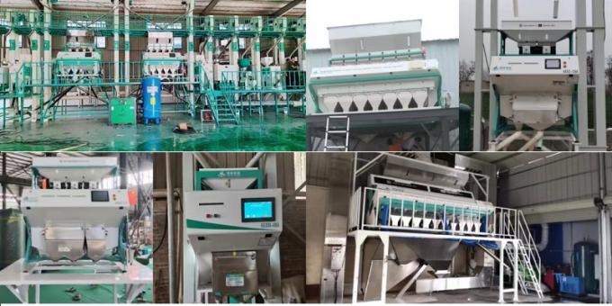 RGB CCD Optical Rice Sorting Machine 10 Chutes For Grain Sorting